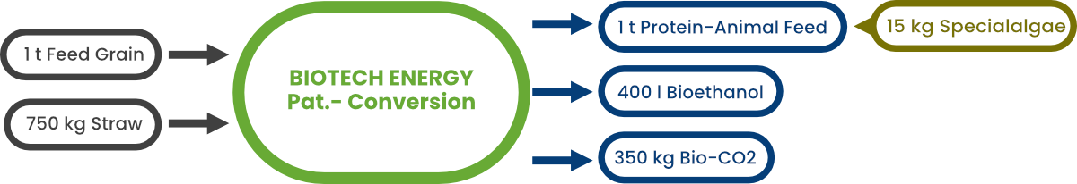 Services – Biotech Energy